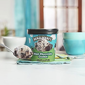Ben & Jerry's Mint Chocolate Cookie Peppermint Ice Cream Pint Non-GMO 16 oz