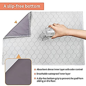 Dog Grass Pet Loo Indoor/Outdoor Portable Potty, Artificial Grass Patch Bathroom Mat and Washable Pee Pad for Puppy Training, Full System with Trays (Pet Training Tray, 20"x16")