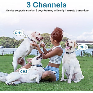 Dog Training Collar for Large Dog, Dog Shock Collar, 4 Training Modes Beep,Vibration,Electric Shock,Dog Finder,Rechargeable IP67 Waterproof E-Collar with Remote 2500FT