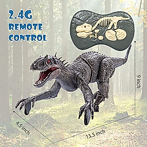 Remote Control Dinosaur Toys for Kids Educational RC Toys,Rechargeable Robot Dinosaur Light & Roaring Simulation Velociraptor,Dinosaur Toys for Boys Girls Age 3 4 5 6 7 8-12 Birthday Gifts Gray