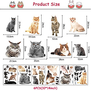 WOYINIS 3D Lovely Kitty Wall Decals Kitten Stickers DIY Removable Fish Cat Paws Wall Stickers Peel and Stick Kitten Wall Decals for Girls Bedroom Playroom Nursery Wall Decor