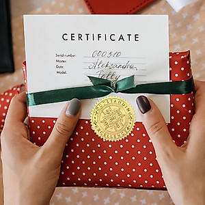 CRASPIRE 2 Inch Certificate Seals Gold Foil Outstranding Excellence 100pcs Self Adhesive Embossed Seals Gold Stickers Medal Decoration Labels for Envelopes Diplomas Certificates Awards Graduation