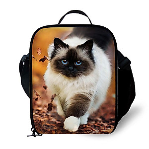 ANYFOCUS Lunch Bag, Durable Insulated for Kids Boys Girls Cooler Bag Cat Print