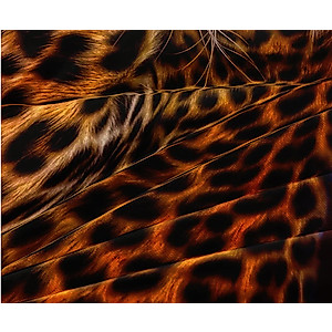 Holiyjog Cheetah Print Bedding Leopard Quilt Cover Sets Brown Linens Bed Pillow Shams Queen Size Animal Home Textile (Queen, 002)