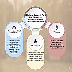 Animal Health Solutions - Chick Boost Probiotics, Help Boost Immunity in Newly Hatched Chicks (8 ounces)