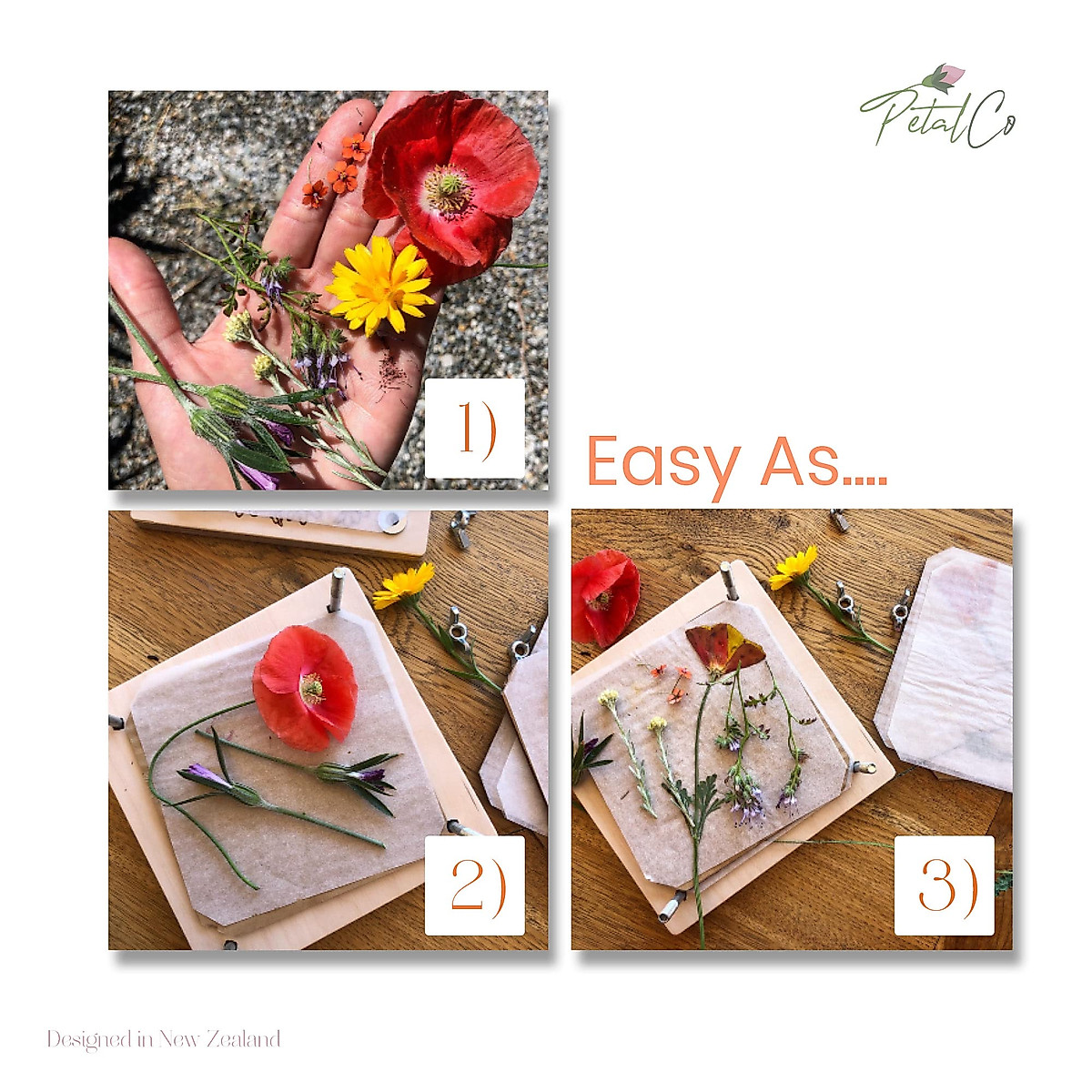Petal Co Kid's Flower Press Kit & Leaf Press | Free EBook on Flower Pressing | Wooden Art Kit | Pressed Flower Art Kit | Gift for Kids | Flower Pressing Kit for Adults Too. Plant Press Kit.