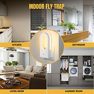 ULTRABOT Indoor Flying Insect Trap, 2 Pack Gnat Glue Traps Plug-in Indoor Bug Light Insect Killer with Double-Sided Adhesive Glue Cards Fly Traps Get Rid of Fruit Flies, Gnat, Moth