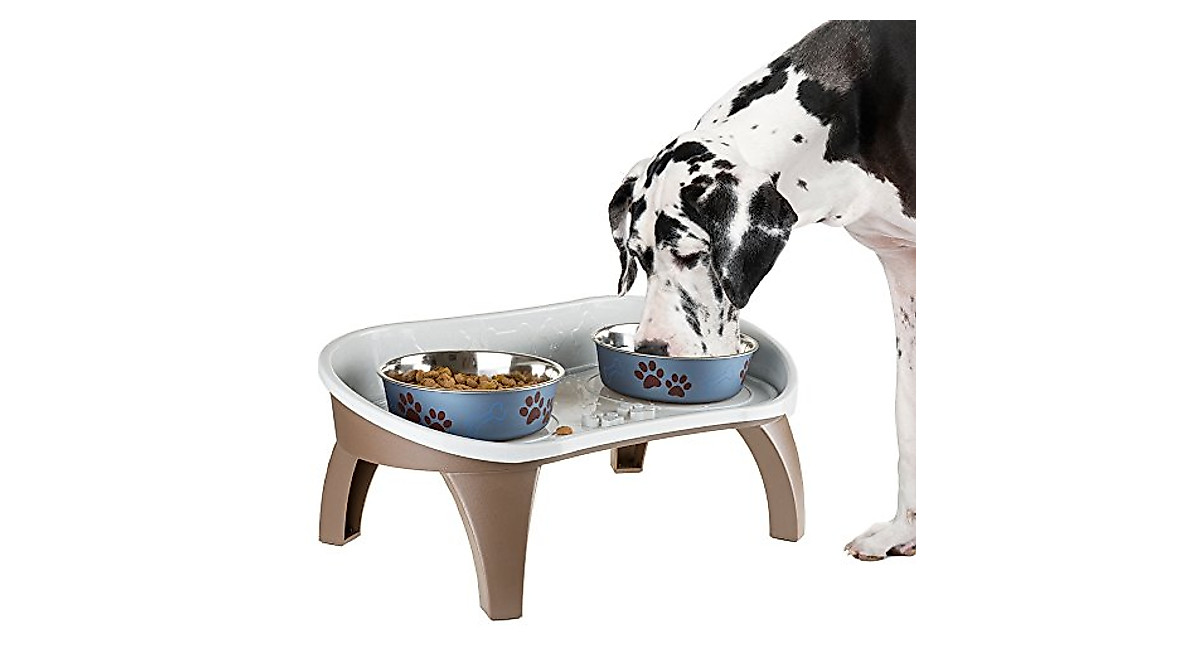 Elevated Pet Feeding Tray with Splash Guard & Steel Bowls | PETMAKER
