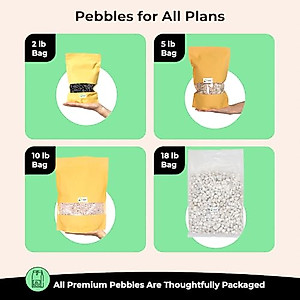 Premium Pebbles Black Rocks for Plants. Polished Decorative Pebbles. 3/8 Inch 2 lbs for Garden, Indoor, Crafting, Succulents, pots, Plants (XSM (0.375 Inch), Black -Polished, 2)