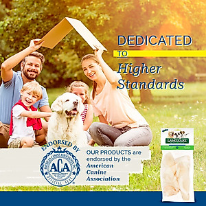 PCI Pet Center Inc Lamzearz - 10 Pack of Premium Lamb Ear Dog Treats