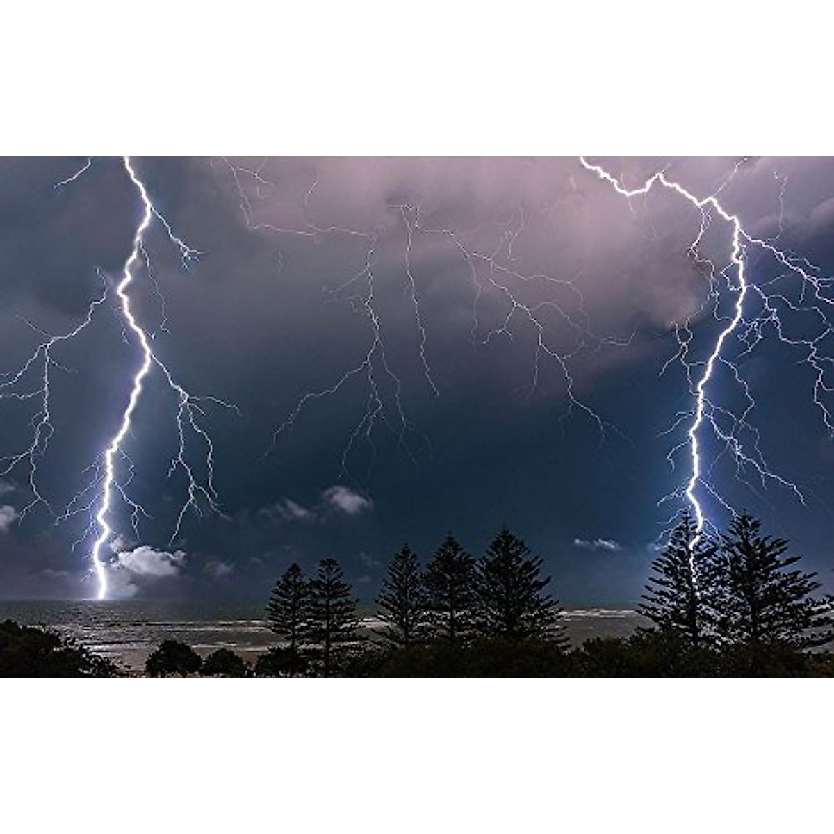 Pluto Trigger A Versatile Camera Trigger - Remote, Timelapse, Startrail, HDR, Video, Lightning, Sound/Light/Motion Triggering, Waterdrop Collision, Smartphone Triggering and More…