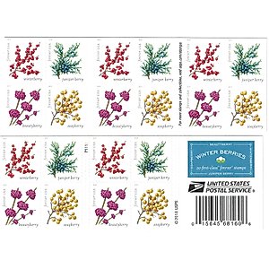 Winter Berries Book of 20 First Class US Postage Stamps Wedding Celebrate Engagement (20 Stamps)
