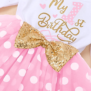 Winter Birthday Outfit Girl My First Birthday Mini Dress Up Cake Smash Outfit Baby Tulle Tutu Skirt Autumn Long Sleeve Mouse 1st Birthday Party Supplies 1 Year Old Photo Props Polka Dots Dresses Pink