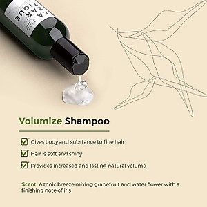 Lazartigue Volumize Shampoo, Enriched with Rice Proteins, Gives Body & Substance to Fine Hair, Leaves Soft & Shiny, Increased Lasting Natural Volume, Vegan, 8.4 Oz