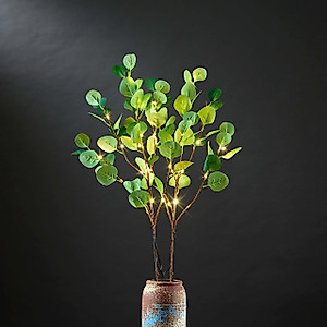 Lightshare 30IN Lighted Eucalyptus Branches 38LED with Timer Battery Operated Lit Artificial Twig for Wedding Holiday Party Christmas Home Decoration, Dark Green
