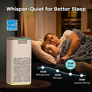 Welov P200S Air Purifiers for Home Large Room with An Extra H13 True HEPA Filter Bundle