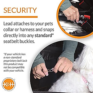 K&H PET PRODUCTS Buckle N' Go Dog Car Seat for Pets, Large Dog Car Seat 21 X 19 X 19 Inches, Gray, 100538738