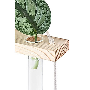 Mkono Plant Propagation Tubes, 3 Tiered Wall Hanging Plant Terrarium with Wooden Stand Mini Test Tube Flower Vase Glass Planter for Hydroponic Plant Cutting Home Garden Office Decor Plant Lover Gift