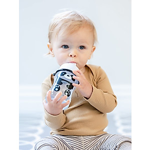 Lollaland Panda Bear, 9 ounce, 6 months Plus, Spill and Leak Proof, Bite Proof, Easy Grip, Hard Spout, BPA Free, Dishwasher Safe, Sippy Cup