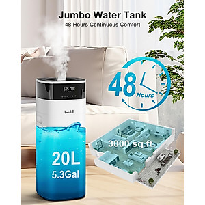 LACIDOLL Humidifier Large Room, 5.3Gal/20L Cool and Warm Mist Humidifiers for Home 3000 sq ft, Whole House Humidifiers with Diffuser&Extended Tube, Top Fill Humidifiers for Bedroom Baby Nursery Plants