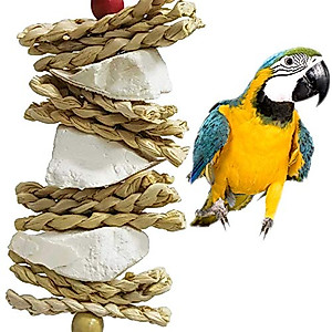 kathson Wood Bird Perch Wooden Parrot Stand Toy Parakeet Standing Platform Chew Toys Natural Cuttlebone Paw Grinding Stick Cockatiels Cage Accessories Exercise Toy for Conures Budgies Lovebirds 5PCS