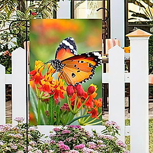 Pickako Butterfly Insects in On Orange Floral Flowers Spring Summer Natural Seasonal Garden Yard Flag 12 x 18 Inch, Double Sided Outdoor Decorative Welcome flags Banners for Home House Lawn Patio