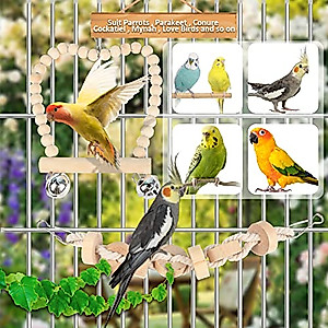 Bird Parrot Toys Swing Hanging, XUXN Bird Parrot Toys 13 Packs, Natural Wood Chewing Toy Bird Cage Toys, Parrot Hammock Bell Toys Suitable for Small Parakeets, Cockatiels, Conures, Parrots, Love Birds
