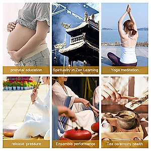 AS TEMAN HANDPAN,Steel Tongue Drum,10 inch 11Notes Tongue Drum，Steel Drums Percussion Instrument (matte gold)