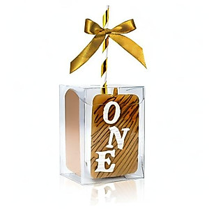 XINHPKGG 35pcs 3.5"x 2.5"x 1.38" Clear Rice Krispie Treat Boxes: Cakesicle Boxes Clear Favor Boxes Macaron Boxes Clear Treat Boxes Party Favors Boxes