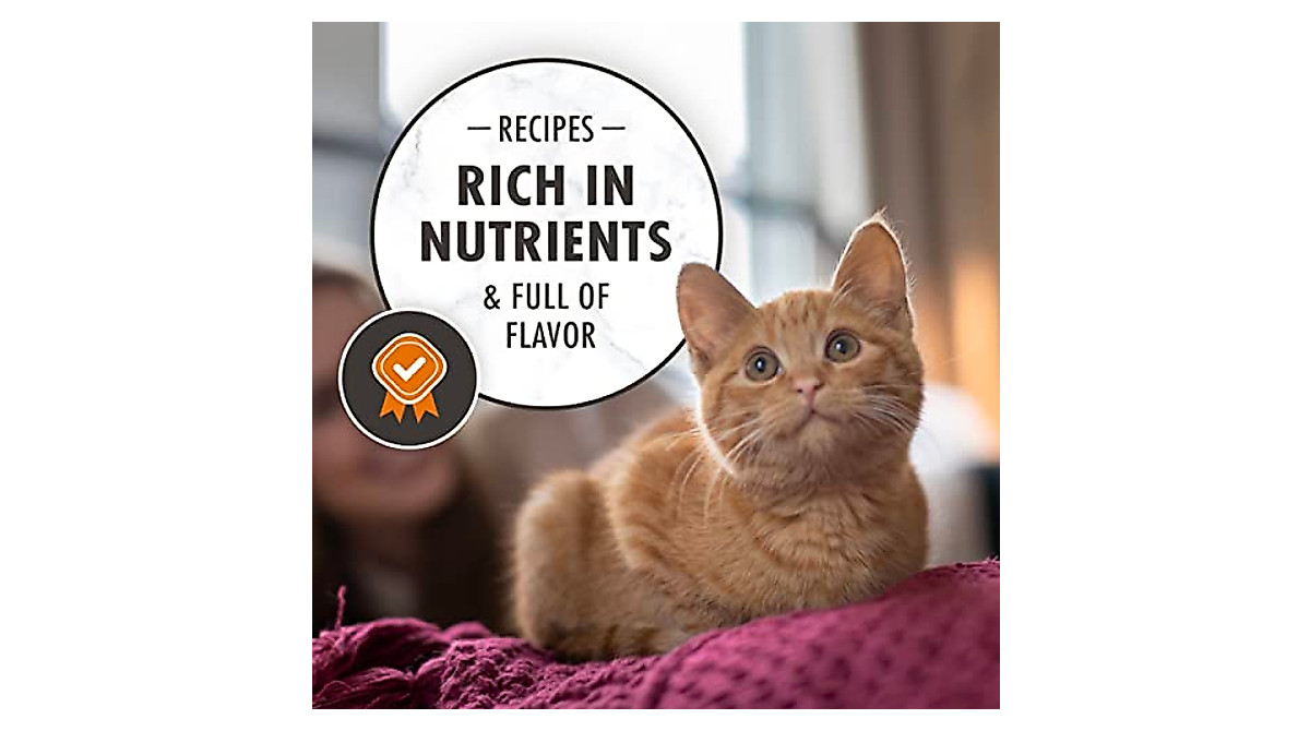 NUTRO Kitten Chicken & Brown Rice Dry Cat Food - 5 lb