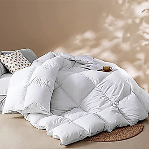 zzlamb Lightweight Down Feather Comforter Queen Size, All Season Medium Warm Down Duvet Insert Fluffy Down Blanket, Soft Cotton-Blended Shell Down Proof Duvet with Corner Tabs, 90x90 inches White