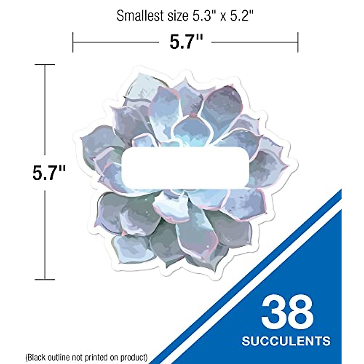 Schoolgirl Style - Simply Stylish | When We Learn We Grow Bulletin Board Set