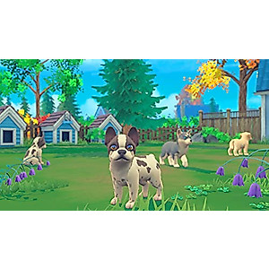 My Universe: Puppies and Kittens Nintendo Switch