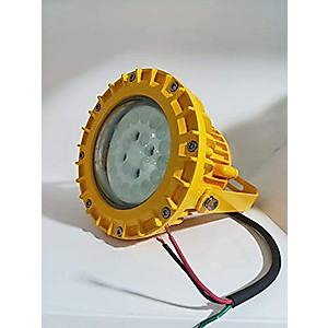 NW 60w led Explosion Proof Light, Explosion Proof led Light, Exdemb II CT6 and Anti-Corrosion Grade WF2, IP66 Waterproof LED high Bay Light. (60)