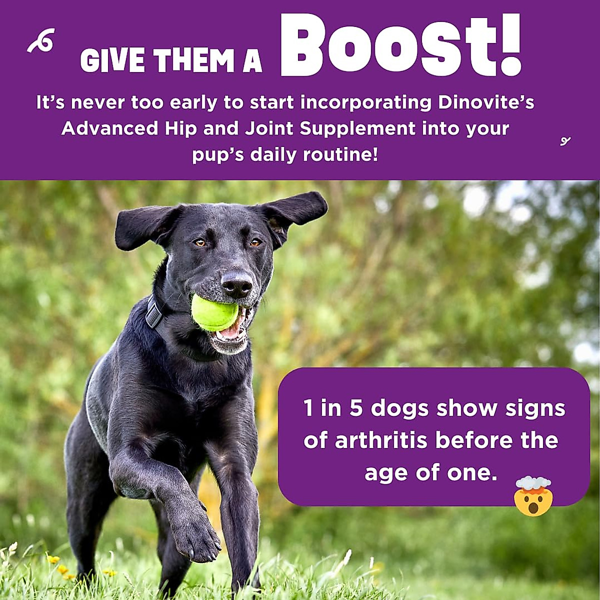 Dinovite BeneBoost Hip & Joint Liquid Food Topper for Dogs - Glucosamine Supplement - Joint Mobility Meal Topper - 16 oz