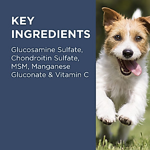 PAW Osteocare Joint Health Chews 500