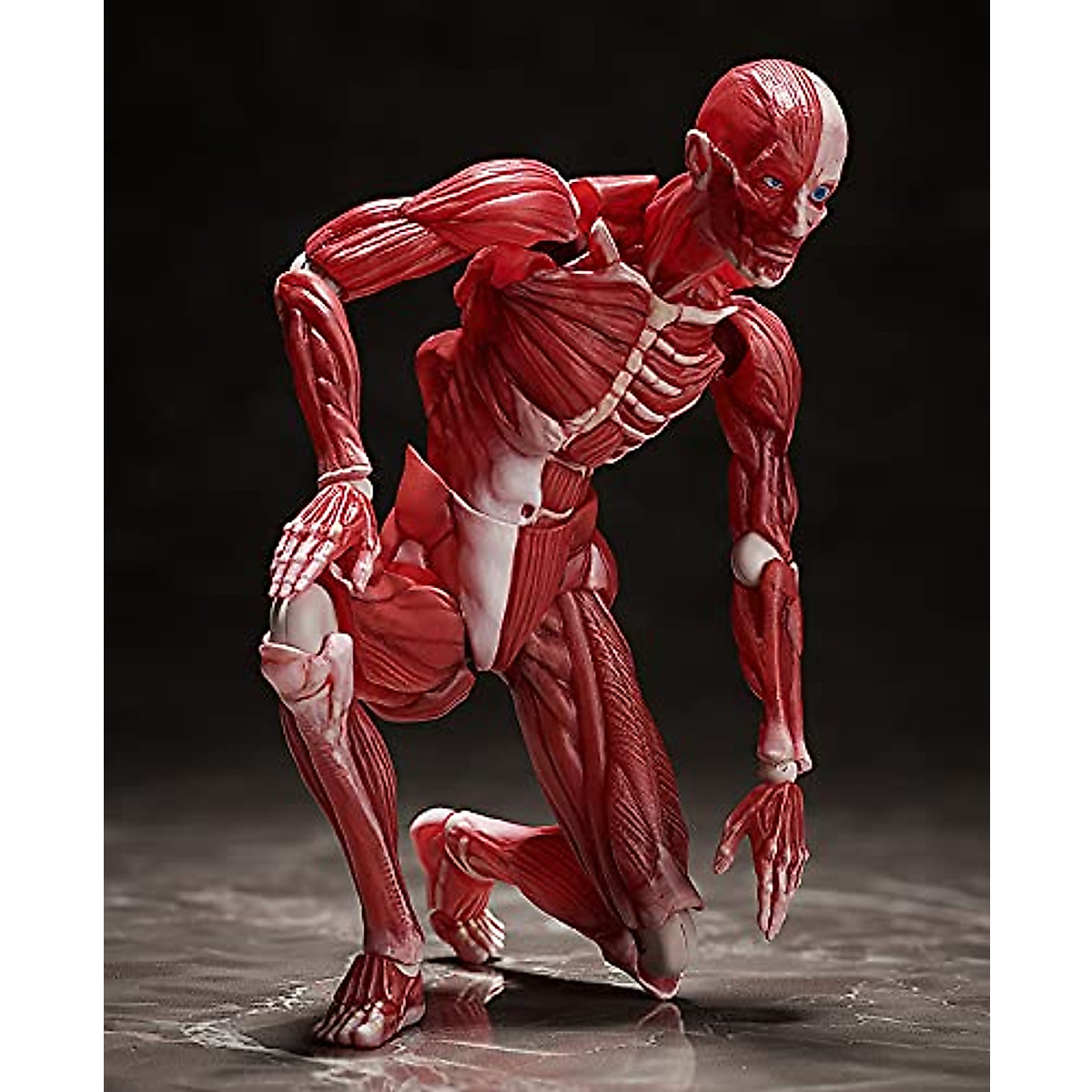 FREEing Human Anatomical Model Figma Action Figure,Multicolor