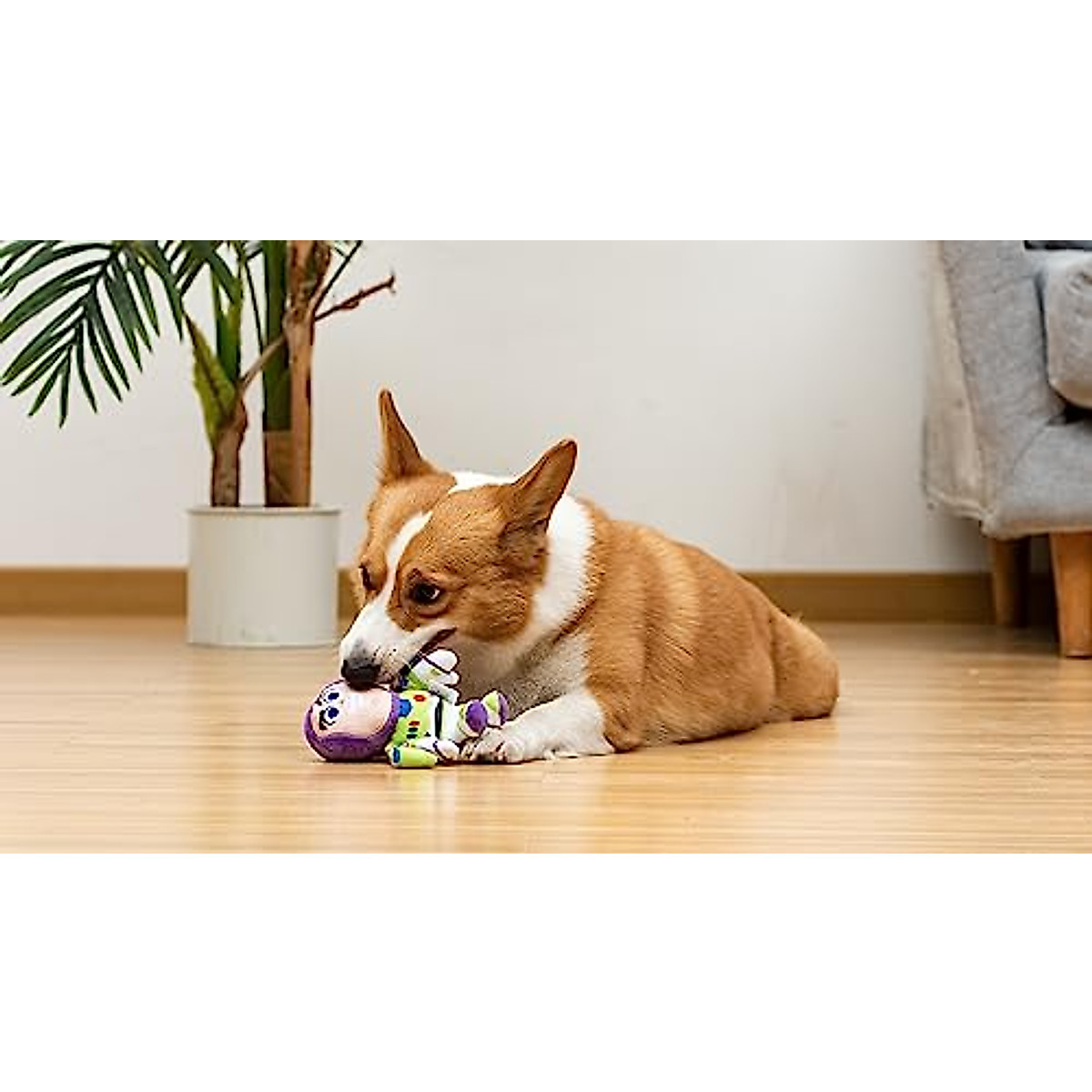 Disney for Pets Pixar’s Buzz Lightyear Plush Dog Toy 6in | Disney Pixar Dog Toys | Ballistic Nylon Plush Toy for Dogs Inspired by Buzz Lightyear from Pixar’s Toy Story with Squeaker