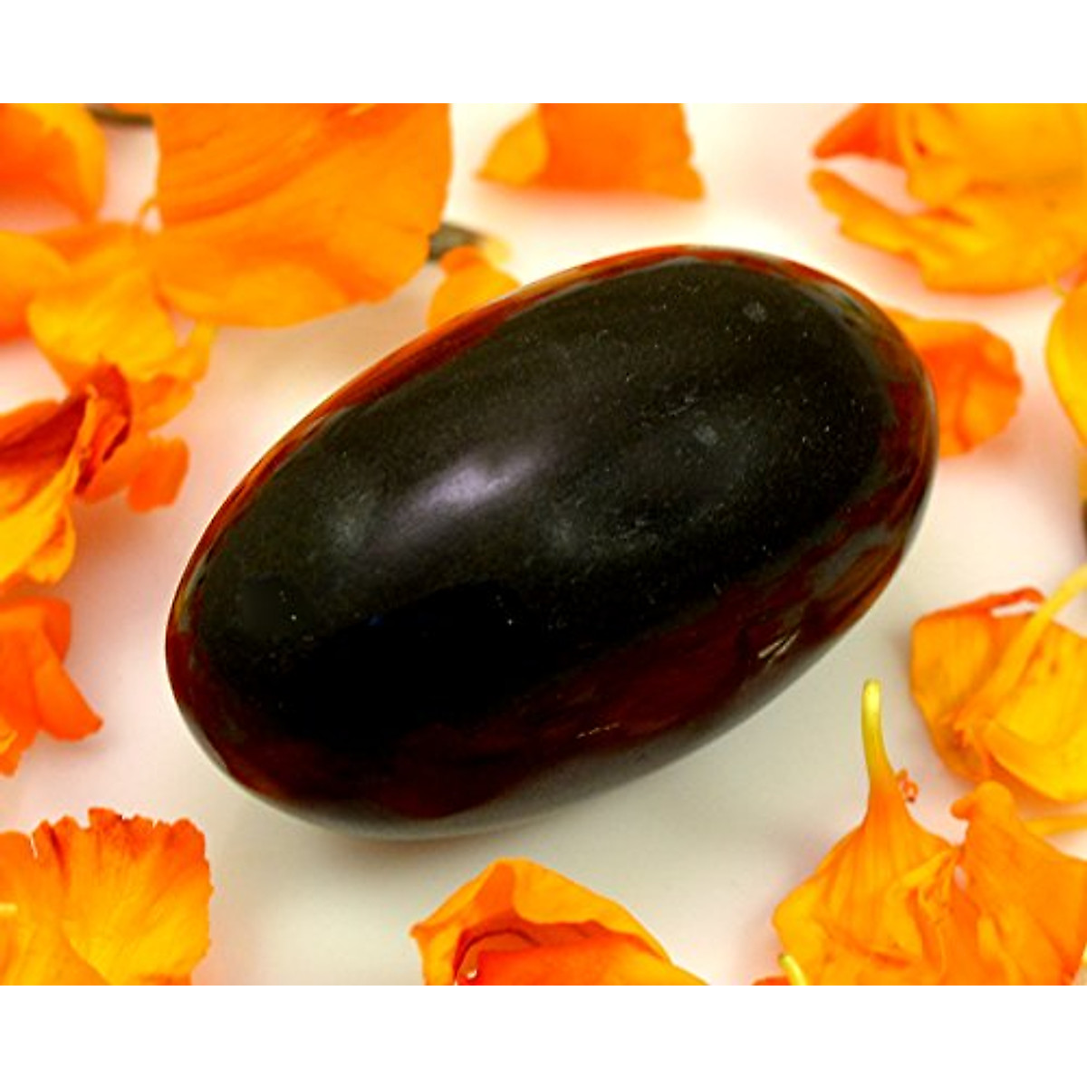 Krishna Mart India Rare Shaligram Hindu Pooja Shivlingam, Shiva, Shivling Small Pocket