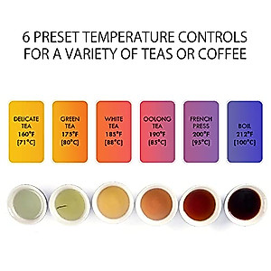 Kenmore 1.7L Cordless Electric Kettle w/ 6 Temperature Pre-Sets, Stainless Steel Teakettle w/LED light, Auto Shut-Off, Keep Warm, Boil-Dry Protection, Silver