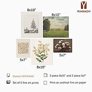 Vintage Botanical Wall Art Decor - Farmhouse Wall Decor for Bedroom Living Room Bathroom - Flower Poster Floral Pictures Plant Wall Prints for Kitchen Decor - Rustic French Country Room Decor Set of 5