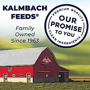 Kalmbach Feeds All Natural 5 Grain Premium Scratch Grain Treat for Chickens