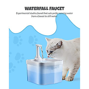Ciays Pet Fountain, 65oz/1.8L Automatic Cat Water Fountain Dog Water Dispenser with 3 Replacement Filters for Cats, Dogs, Multiple Pets, White