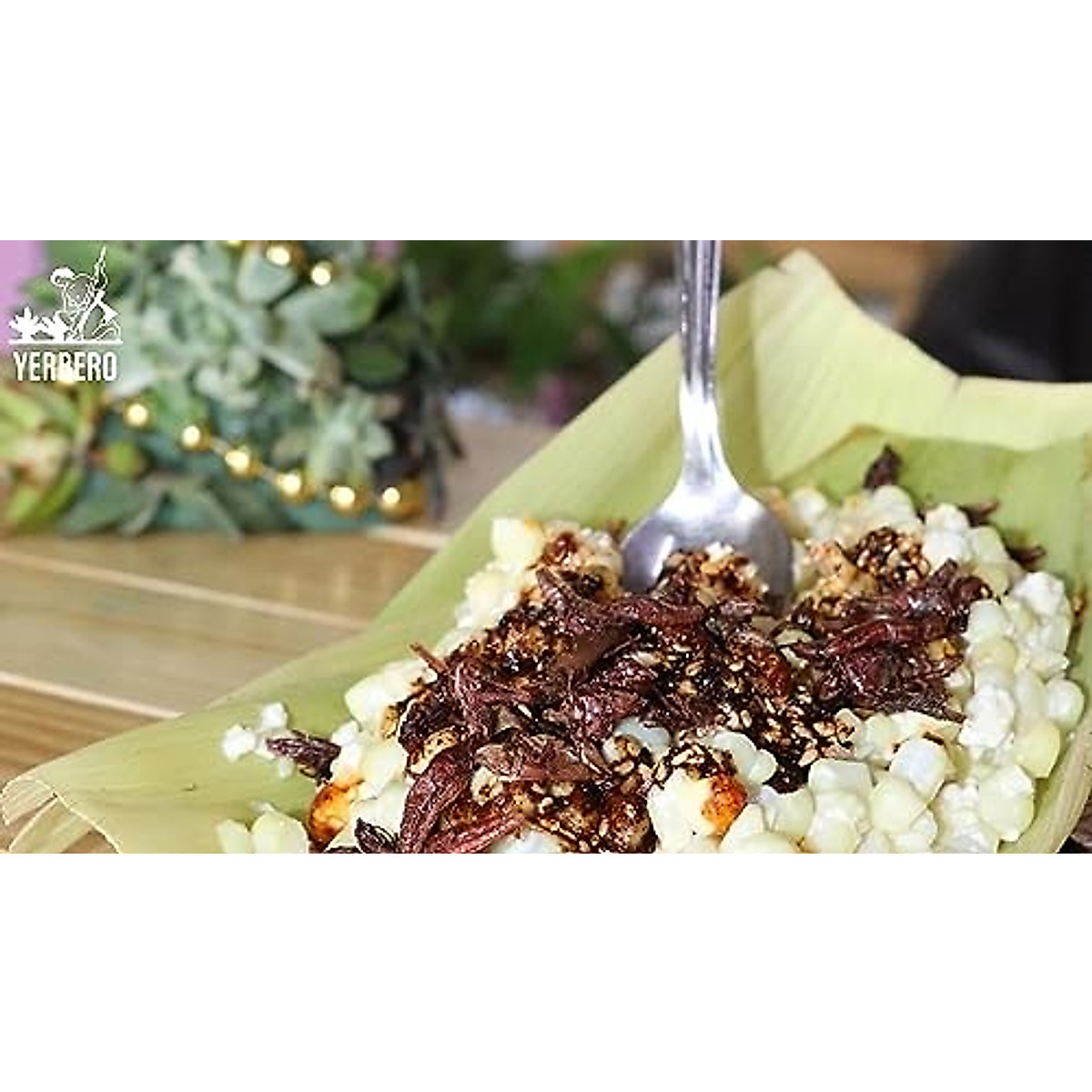 Yerbero - Fresh Chapulines From Oaxaca 1.03 oz (30gr) Adobado Spicy Flavor | All Natural Toasted Grasshoppers With Chili, Lime, Sea Salt and Garlic | Always Fresh (Not Dehydrated) Delicious, Exotic Mexican Snack. Imported From Mexico.