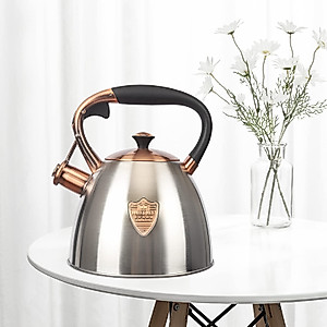 Tea Kettle -2.9 Quart Tea Kettles Stovetop Whistling Teapot Stainless Steel Tea Pots for Stove Top Whistle Tea Pot