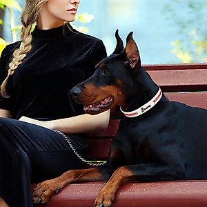 MLB Dog Collar Atlanta Braves New Signature PRO PVC-Leather Premium Pet Collars Extra Tough & Durable! Super Stylish! Size: Medium Adjustable 16-20" Length x 1" Width