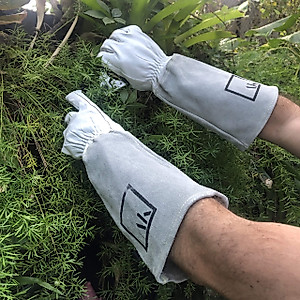 Rose Pruning Gloves Gauntlet Garden Gloves Leather Long Gardening Gloves for Women Rose Gloves Cut Proof Work Gloves White Garden Gloves for Rose Gardening Gloves Rose Bushes Ready to Plant Cowhide S