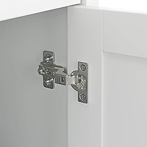 Bush Furniture Salinas Accent Storage Cabinet with Doors, Pure White and Shiplap Gray