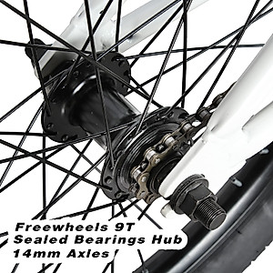 MICARGI Maze Freestyle BMX Bike, Entry and Intermediate Rider, 20-inch Wheels, Hi-Ten Steel Frame, U Brake 3-Piece Crank Micro Drive 25x 9T BMX Gearing (Maze - White)