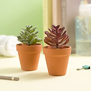 Fcacti 12 PCS Small Mini Clay Pots with Drainage Holes for Plants,2.5inch Terra Cotta Pot Clay Ceramic Pottery Planter,Succulent Nursery Pot/Cactus Plant Pot,for Indoor/Outdoor Plants,Crafts